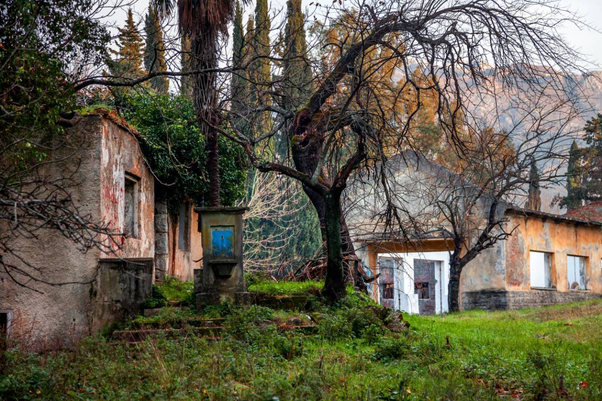 Comment s'occuper d'un jardin en friche ? - Déco brico et jardin